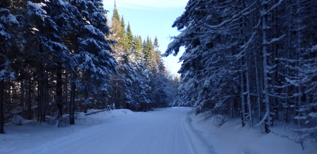 The Adventure Starts Here | Northern Trails Lodging & Adventures